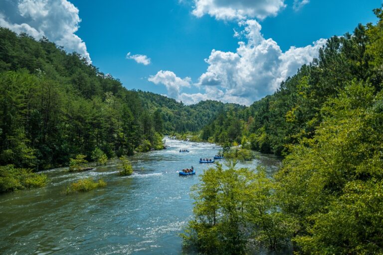 White Water Rafting Georgia: Top Spots You Don’t Want To Miss - Nook ...