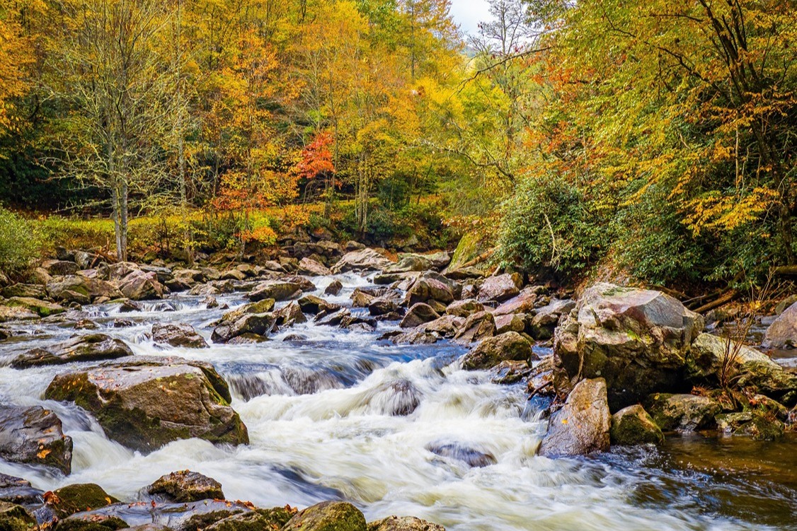 White Water Rafting Georgia: Top Spots You Don’t Want To Miss - Nook ...