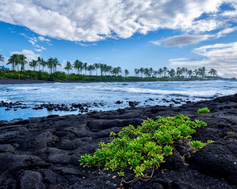 Fun Vacation Spots for Young Adults in the US [3 Exciting Trips] - Nook ...