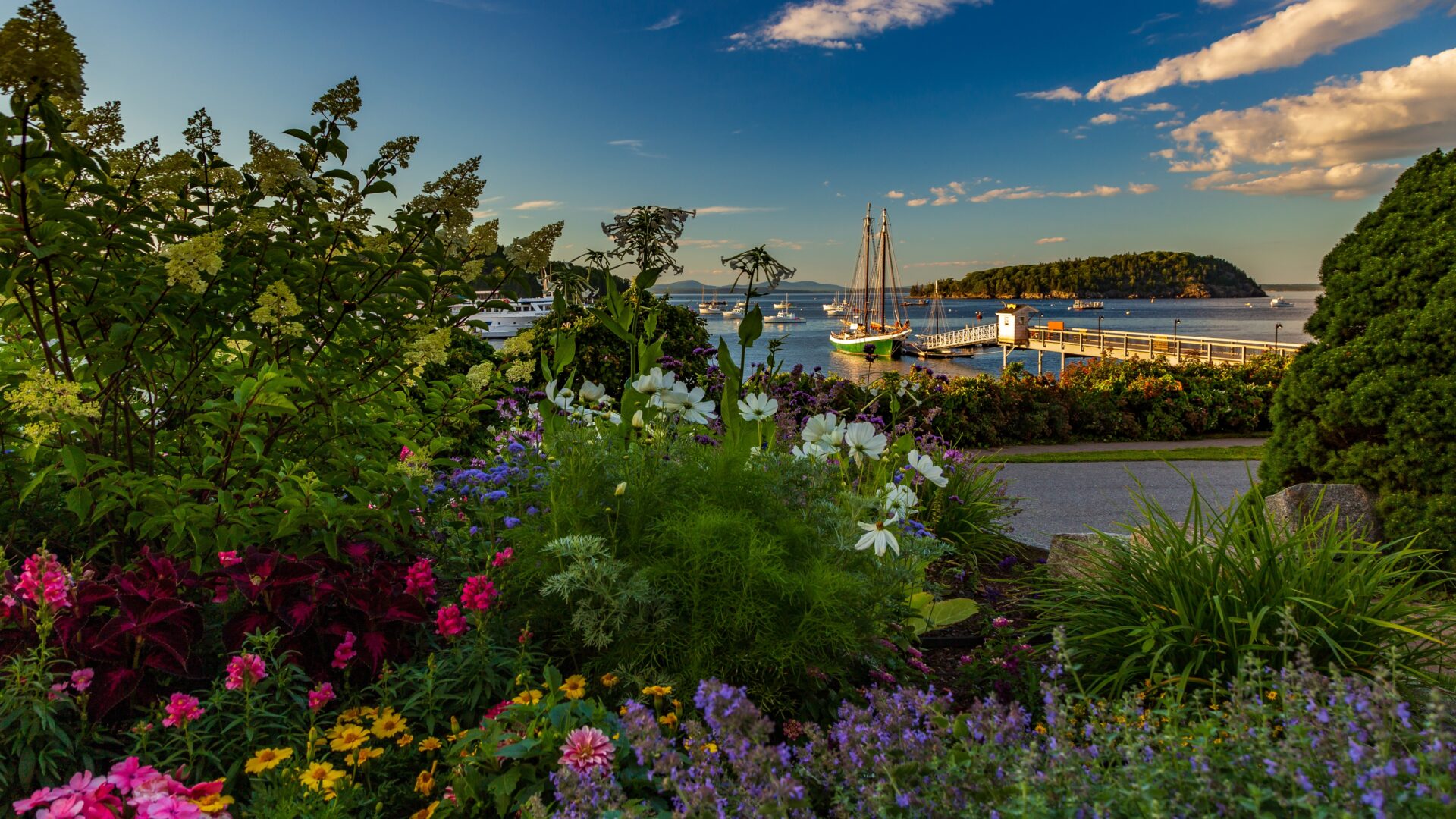 Where to Stay in Bar Harbor for a New England Summer - Nook Outdoors